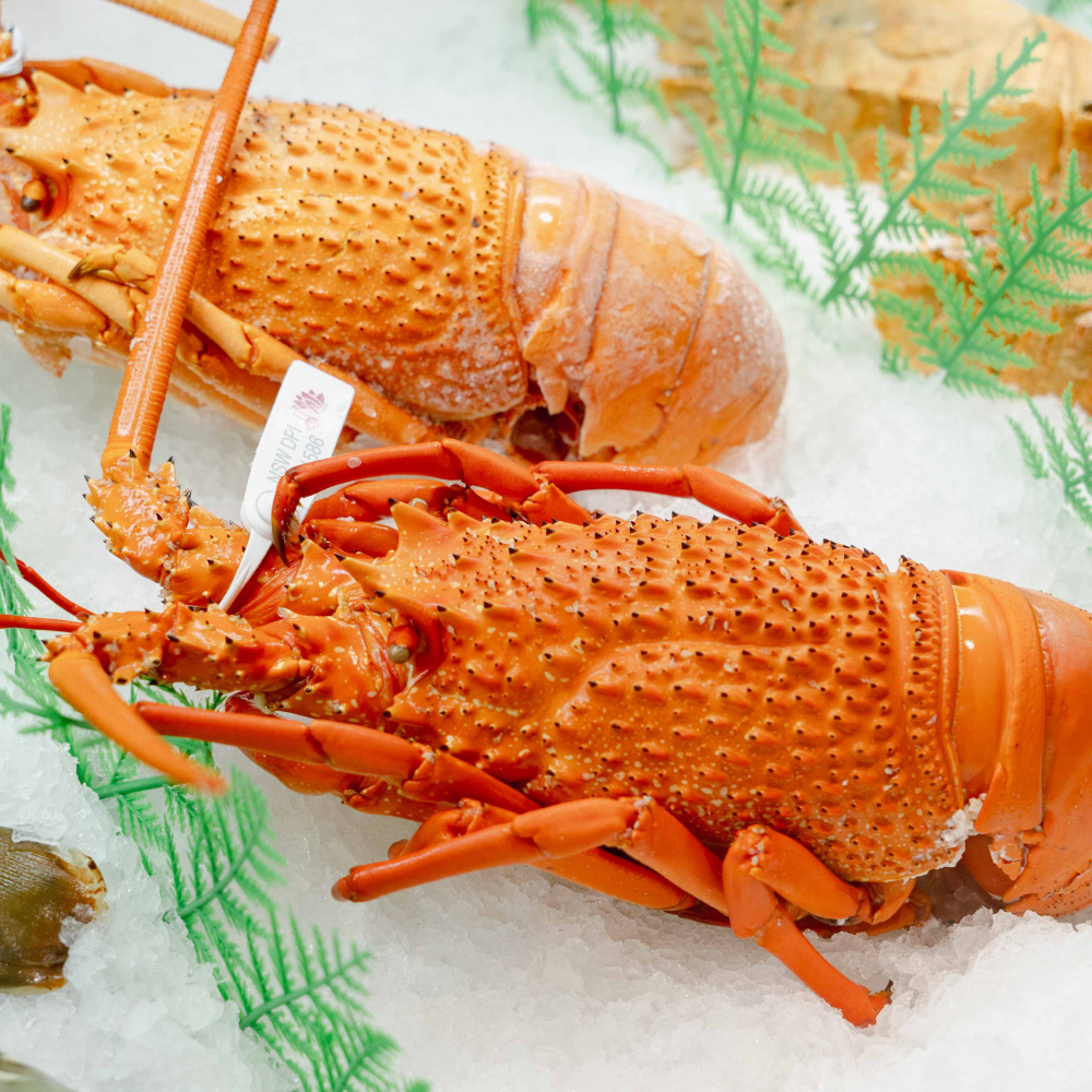 Crustaceans – Astakos