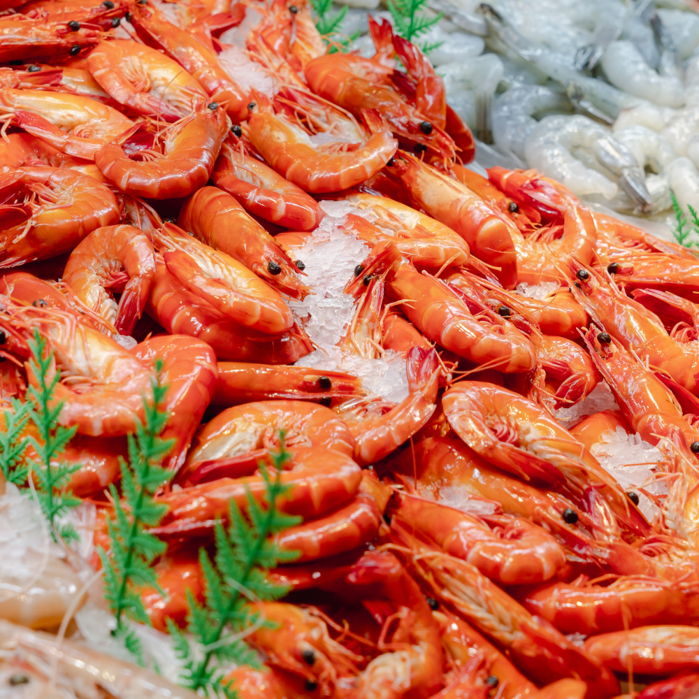 Prawns – Astakos