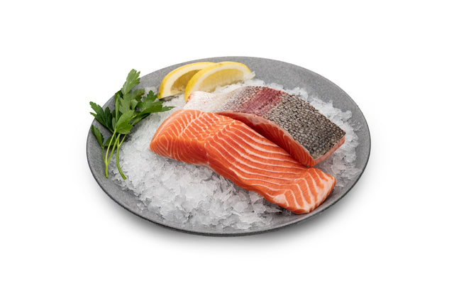 Ocean Trout Fillet Portions (2 x 250g) – Astakos