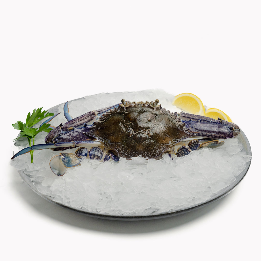 Blue Swimmer Crab – Green (500g) – Astakos