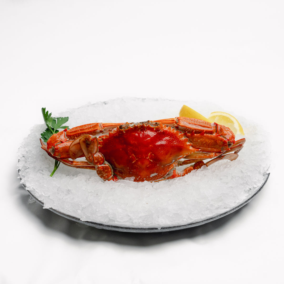 Cooked Crab – Blue Swimmer (500g) – Astakos