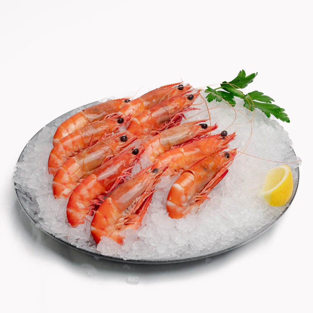 Cooked King Prawns - Extra Large (500g) – Astakos
