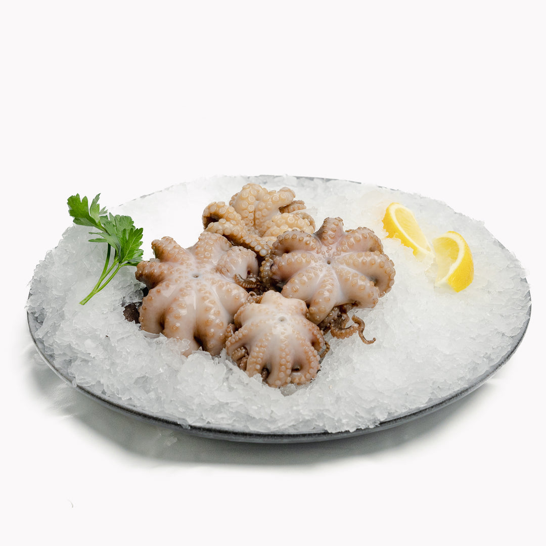 Octopus – Baby (500g) – Astakos